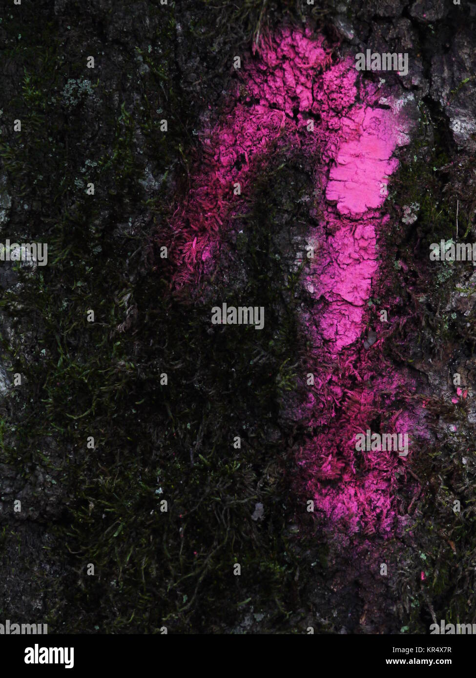 Number tree hi-res stock photography and images - Alamy