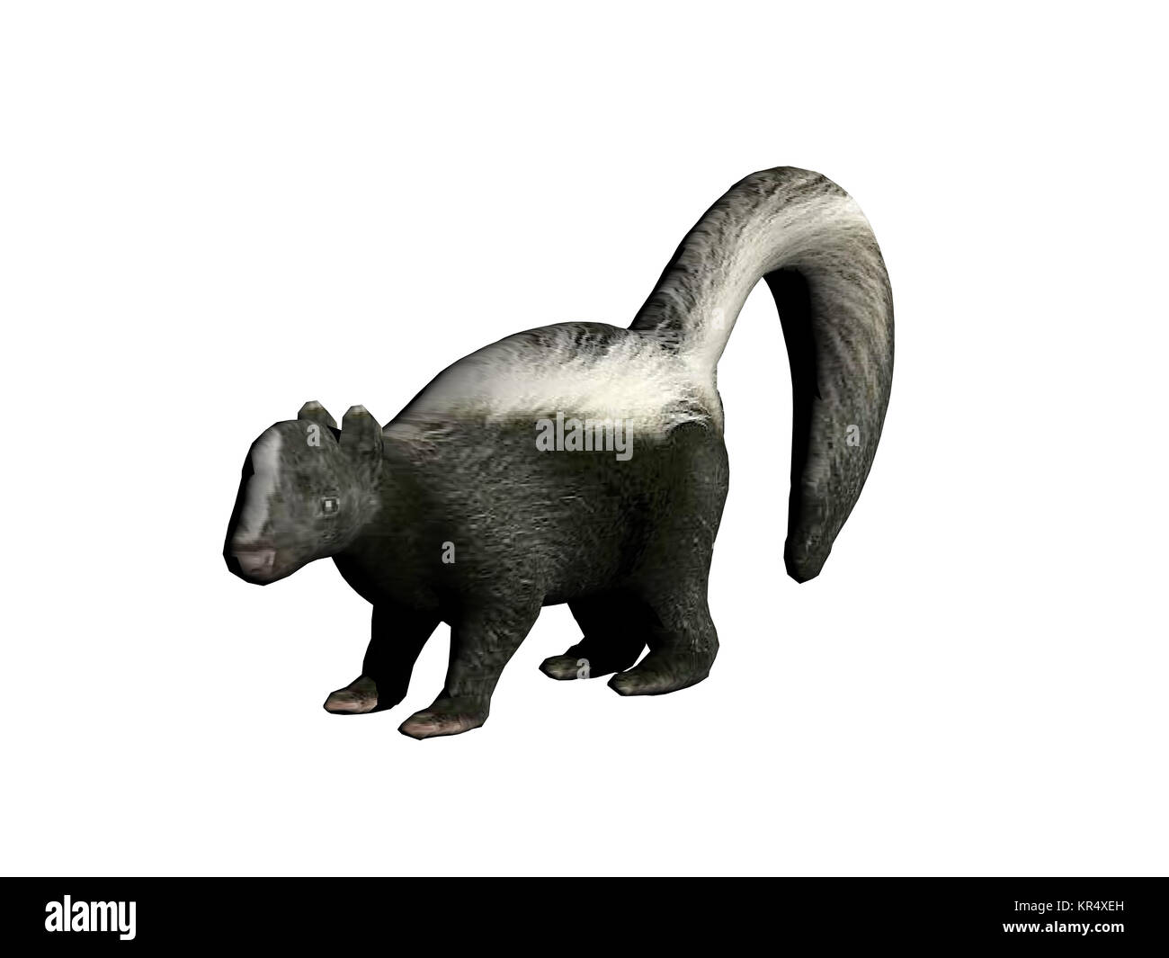 skunk skunk released Stock Photo - Alamy