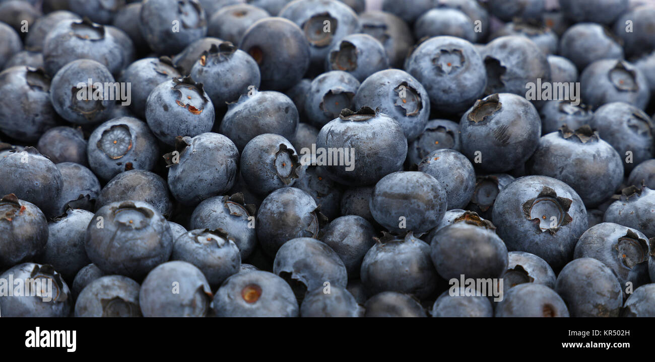 Background of fresh blueberry close up Stock Photo - Alamy