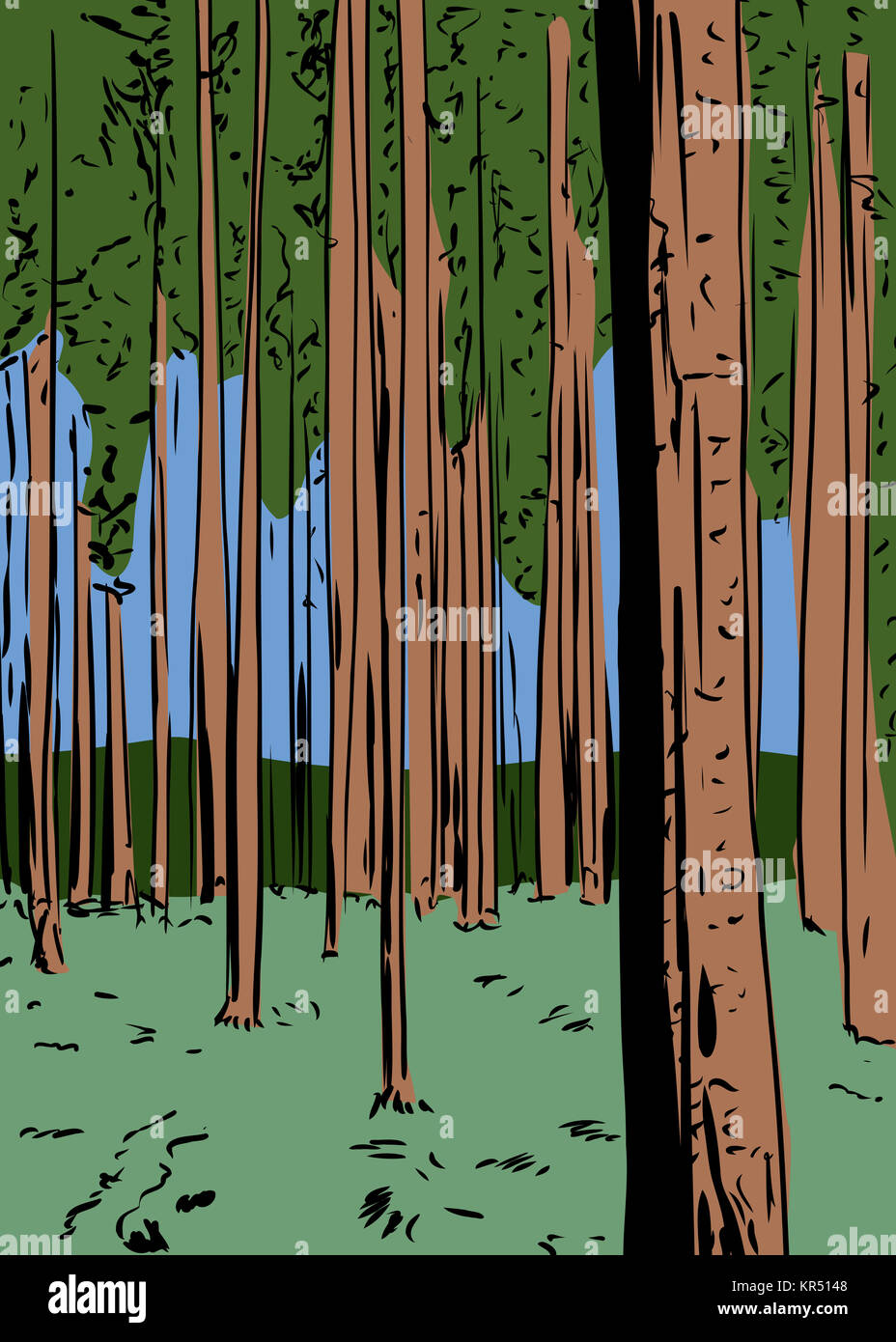 Forest background with tall trees Stock Photo - Alamy