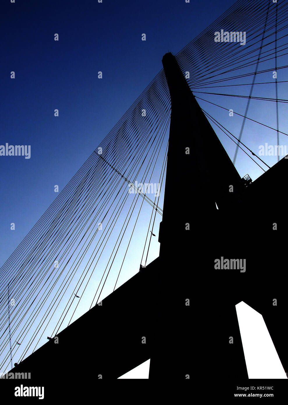 The biggest sloping rope suspension bridge of Europe Stock Photo - Alamy