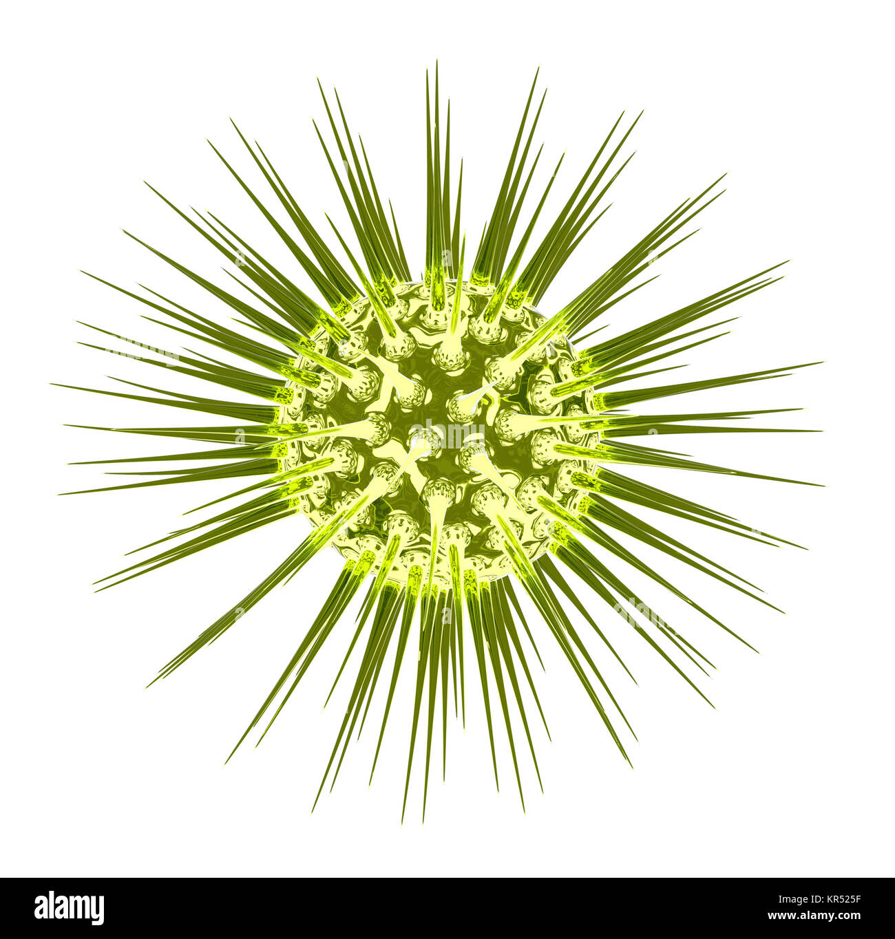 One cell organism Cut Out Stock Images & Pictures - Alamy