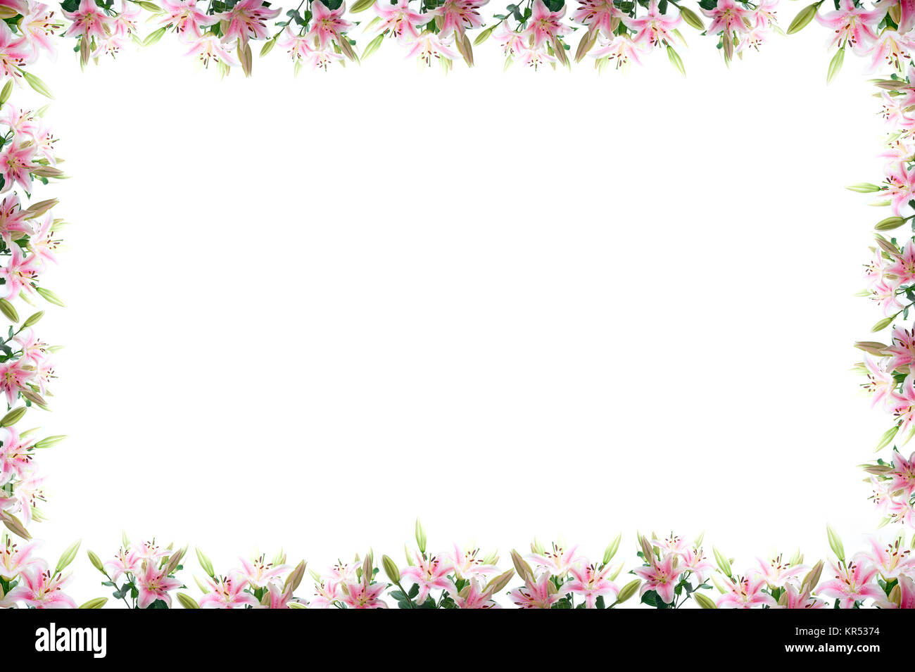 lily flowers composition frame Stock Photo - Alamy