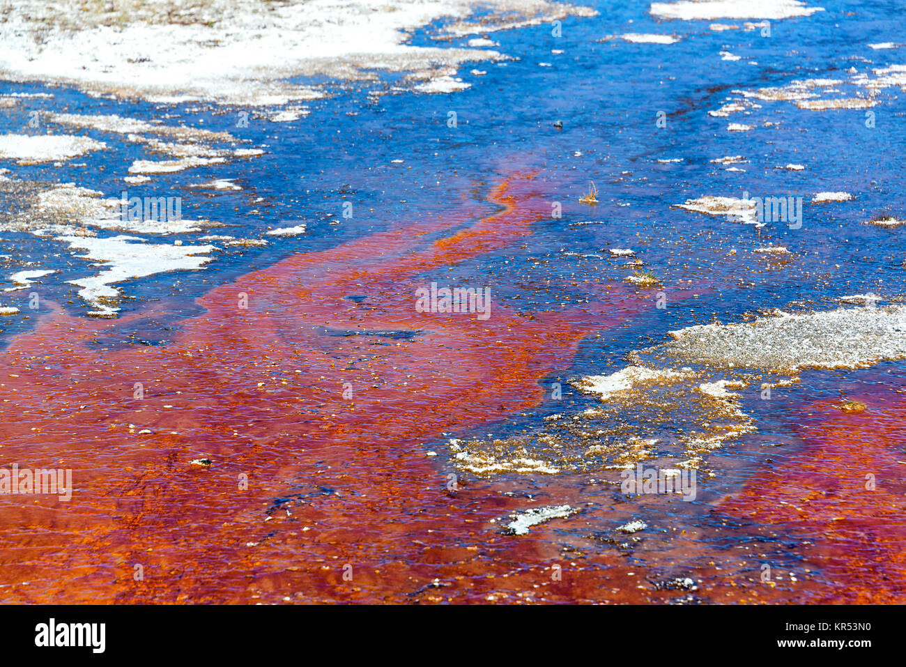 Colorful Red Bacteria Mat Stock Photo - Alamy