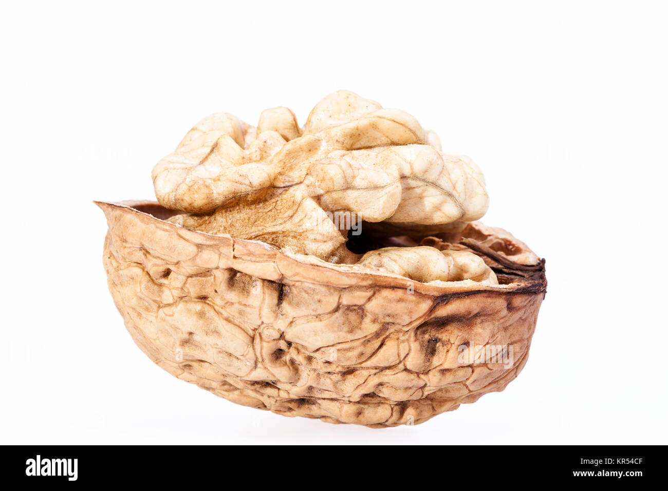 Single walnut with half nutshell isolated on white background Stock ...