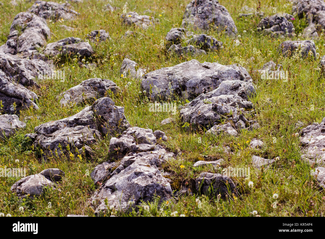 Heap of rocks Stock Photo - Alamy