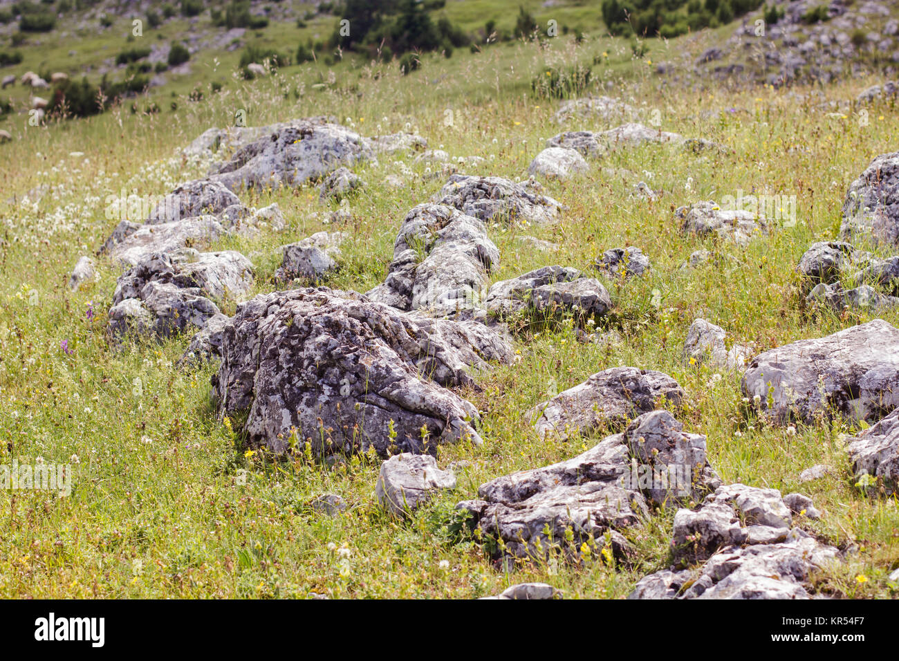 Heap of rocks Stock Photo - Alamy