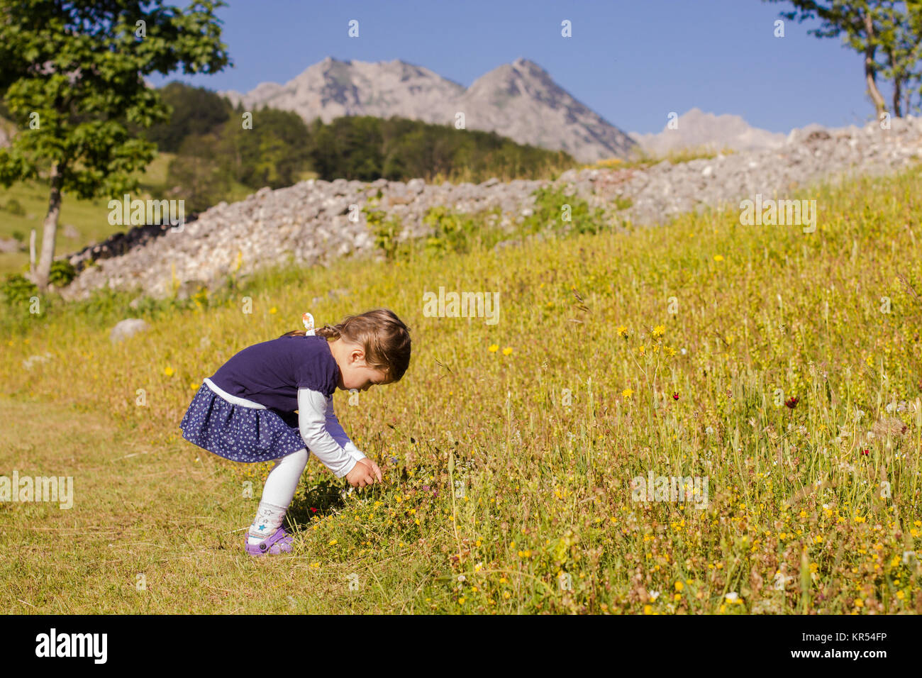 Childhood in the Nature Stock Photo - Alamy