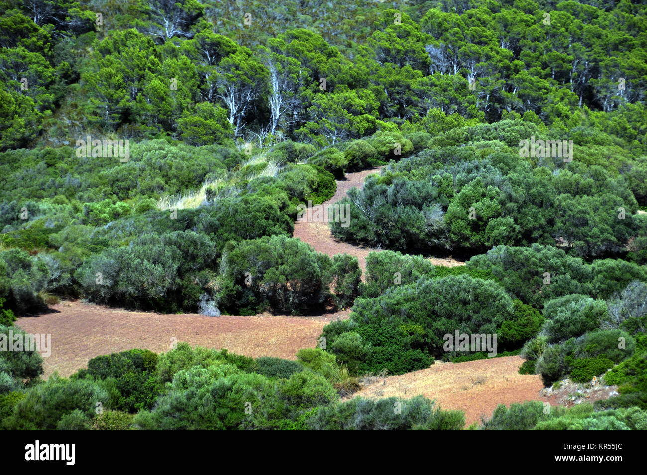landscape on menorca Stock Photo - Alamy