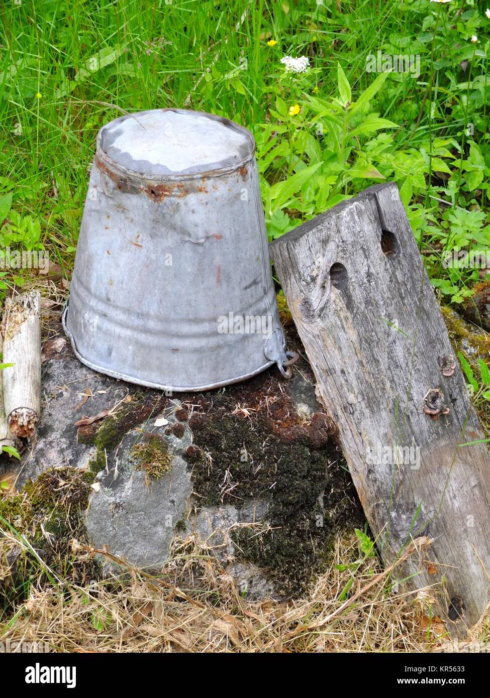 Rustic bucket in a garden Stock Photo - Alamy