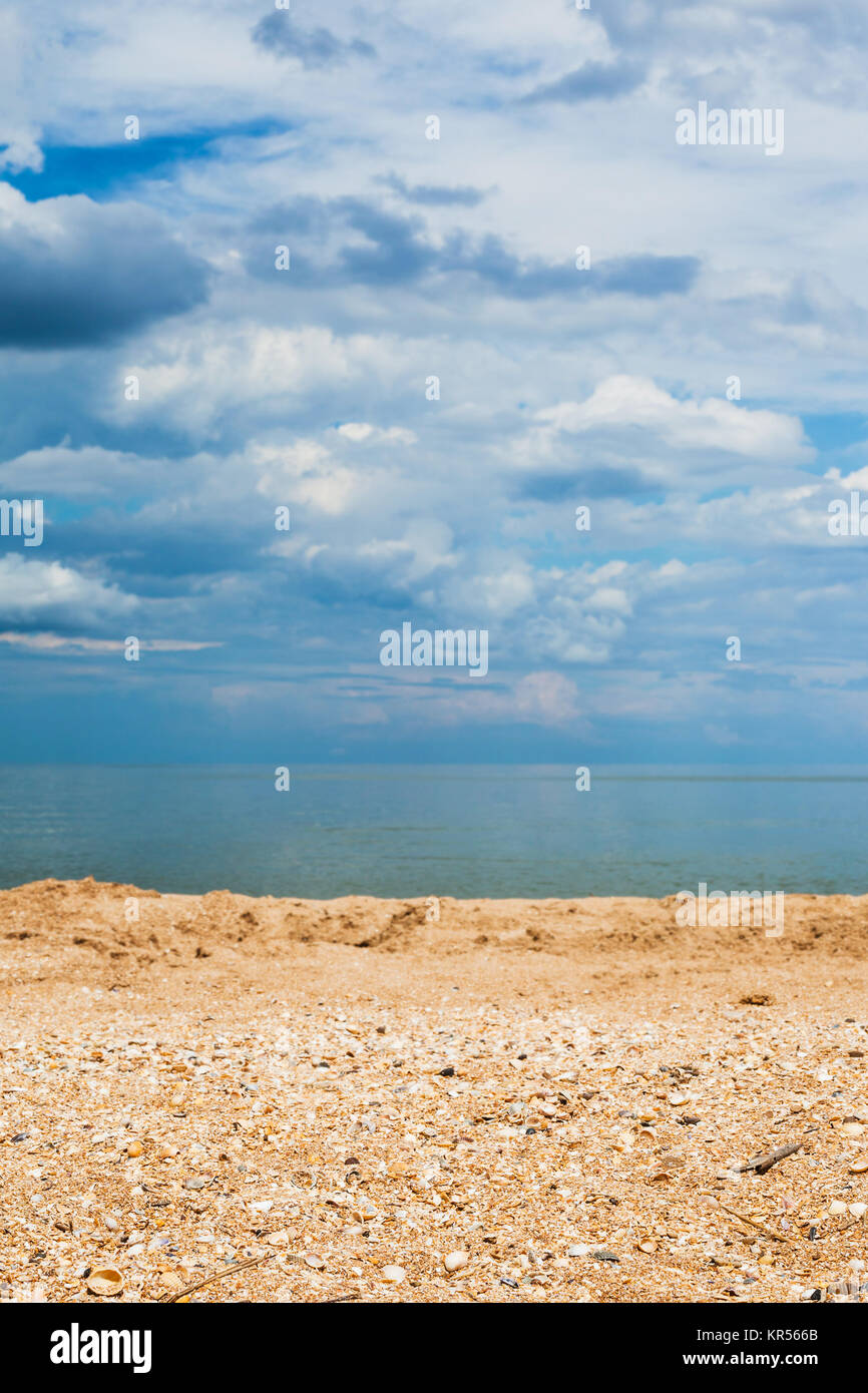 Shell shelly sand hi-res stock photography and images - Alamy