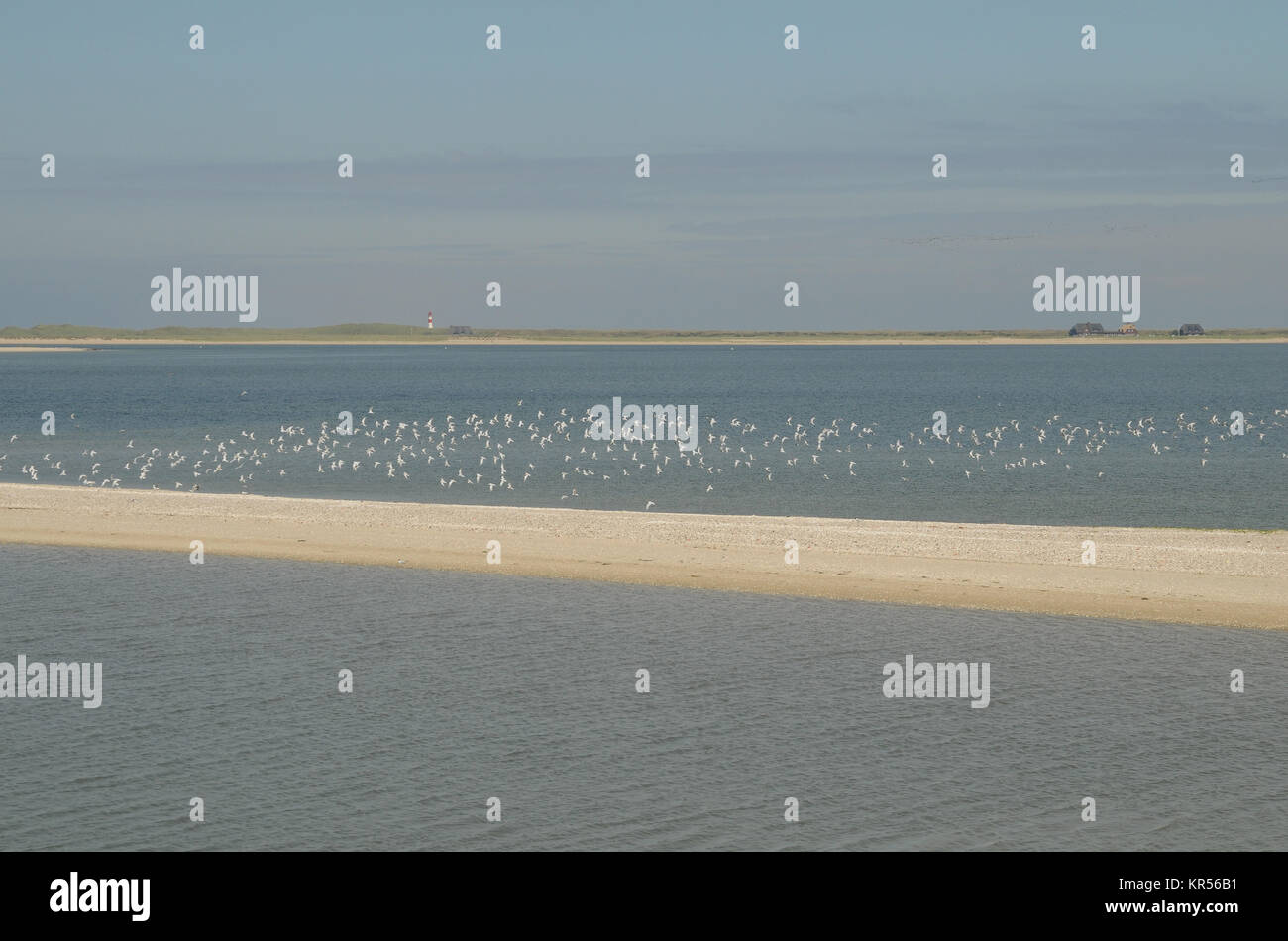 national park wadden sea Stock Photo - Alamy