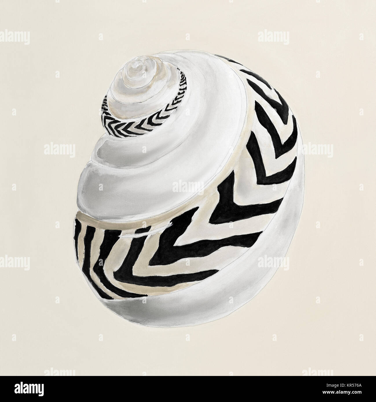 sea shell in pastel colors - oil painting Stock Photo - Alamy