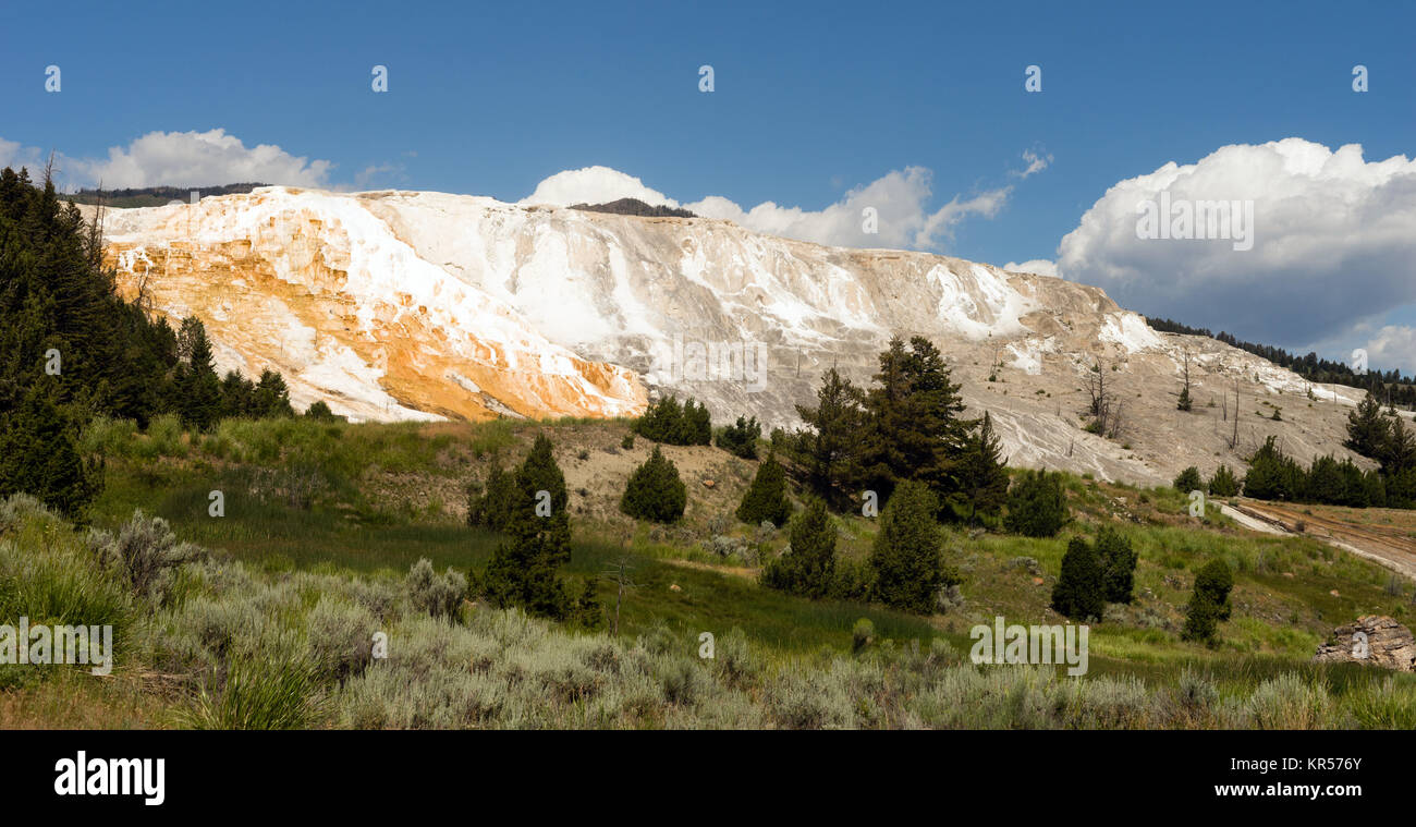 Mammoth Hot Springs Terraces Yellowstone National Park Stock Photo - Alamy