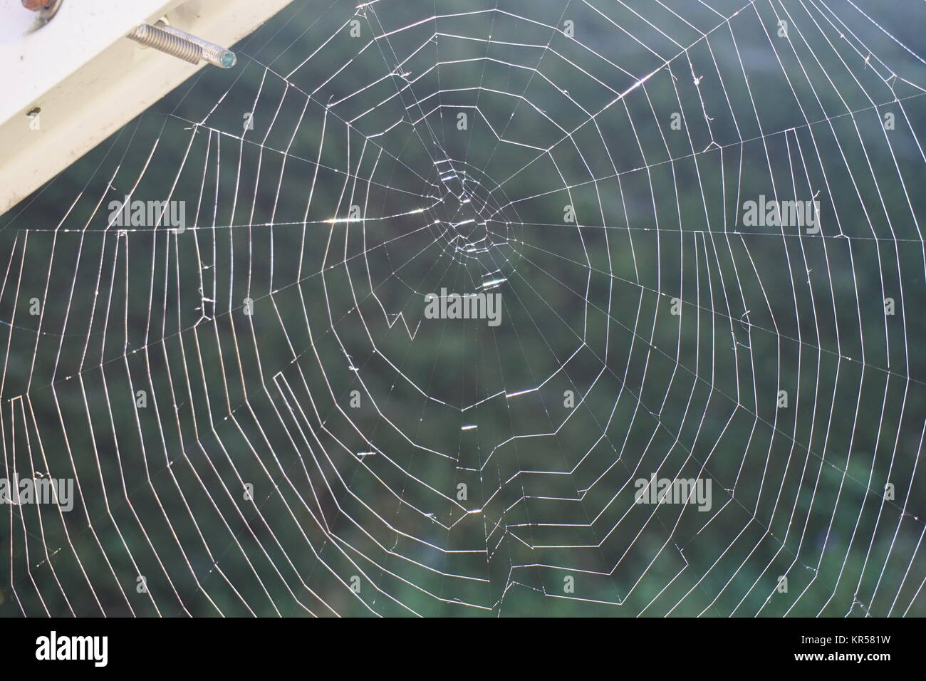 Spin threads hi-res stock photography and images - Alamy