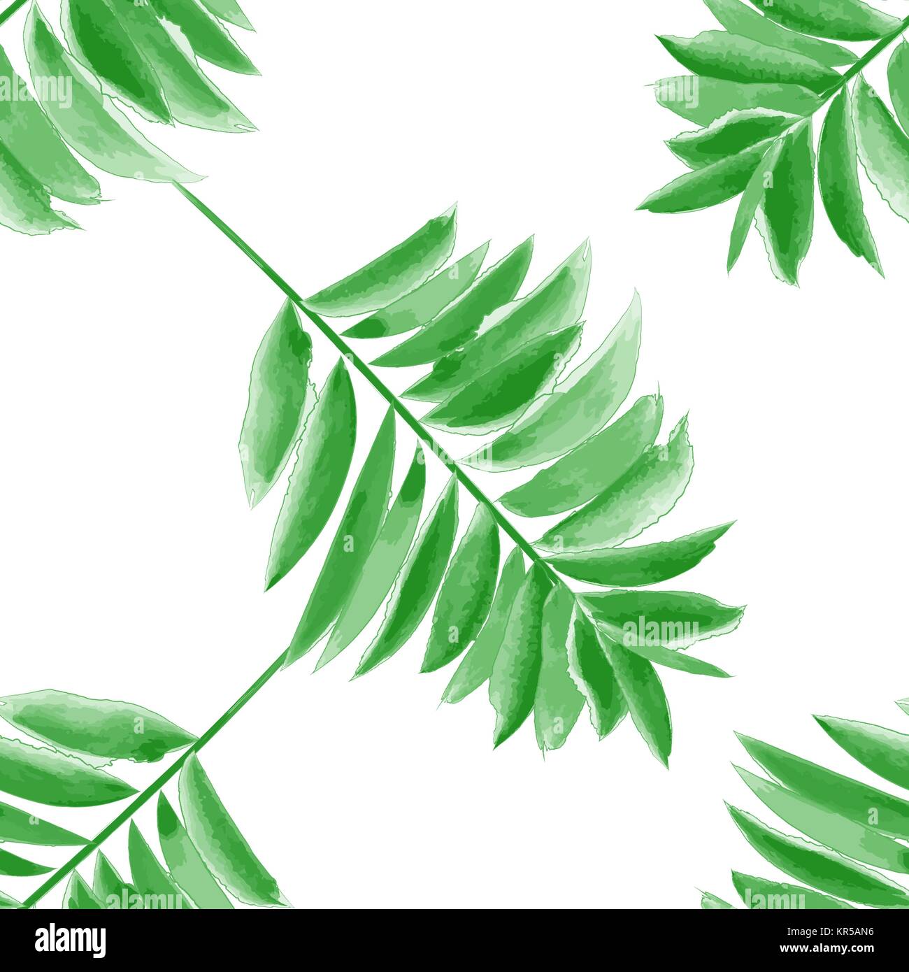 Watercolor palm leaf green vector Stock Vector Image & Art - Alamy