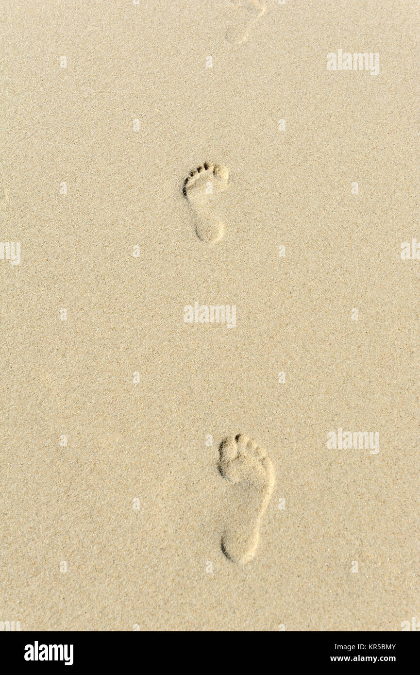 Footprints in the sand on a beach Stock Photo - Alamy