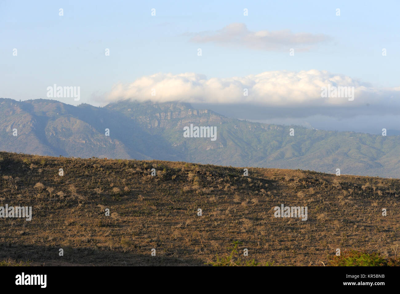 Savannah landscape in the National park in Kenya, Africa Stock Photo ...