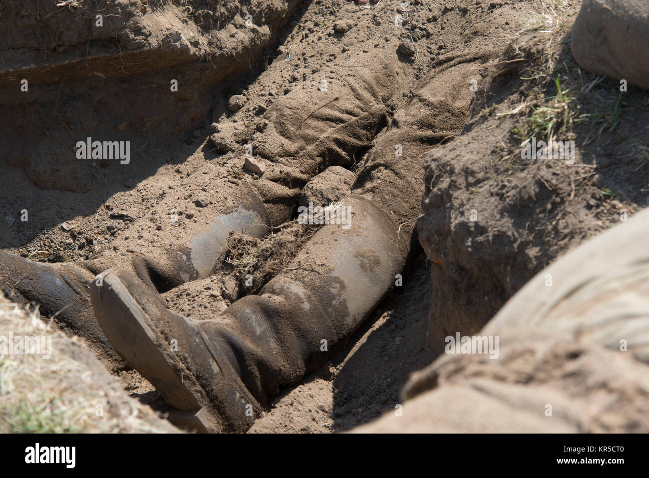 conceptual image of violence and crime, dead body Stock Photo - Alamy