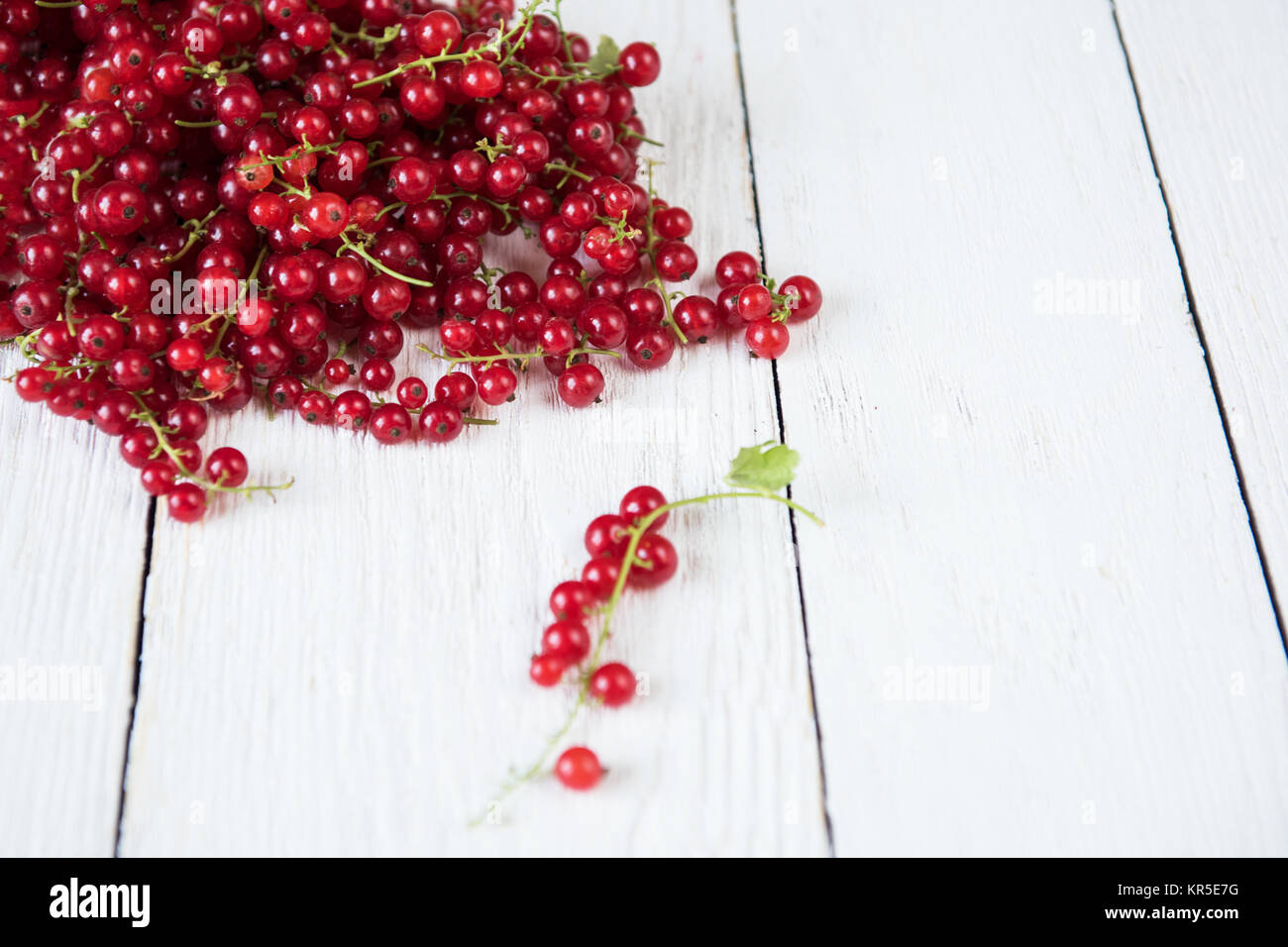 Fresh red currants Stock Photo - Alamy