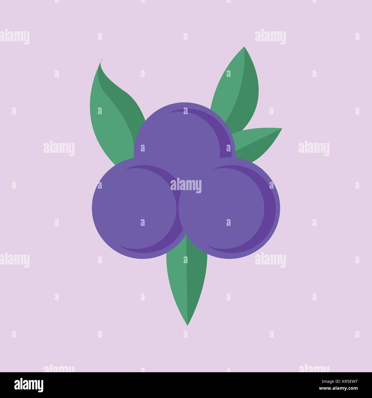 Simple Flat Blueberry Vector Illustration Graphic Design Stock Vector ...