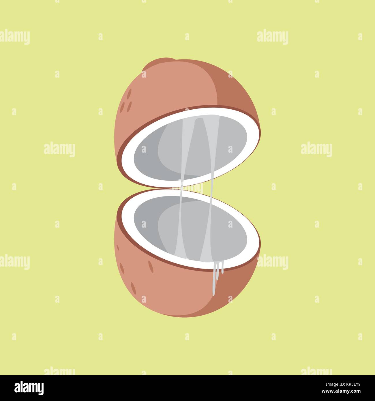 Simple Flat Open Coconut Vector Illustration Graphic Design Stock ...