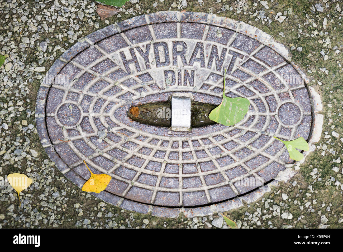 Hydrant lid hi-res stock photography and images - Alamy