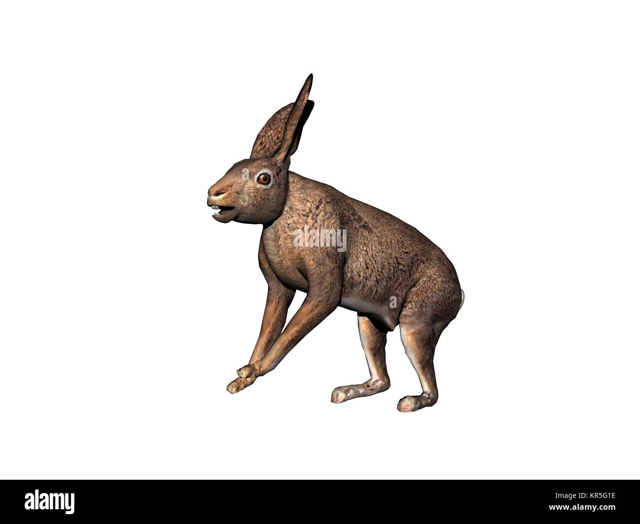 Buck hare hi-res stock photography and images - Alamy