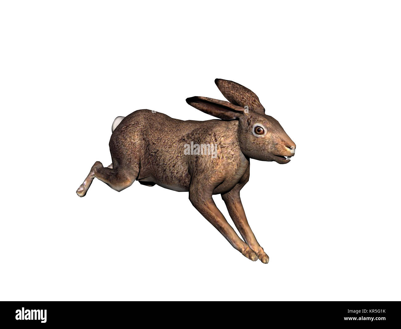 Long eared mule hi-res stock photography and images - Alamy