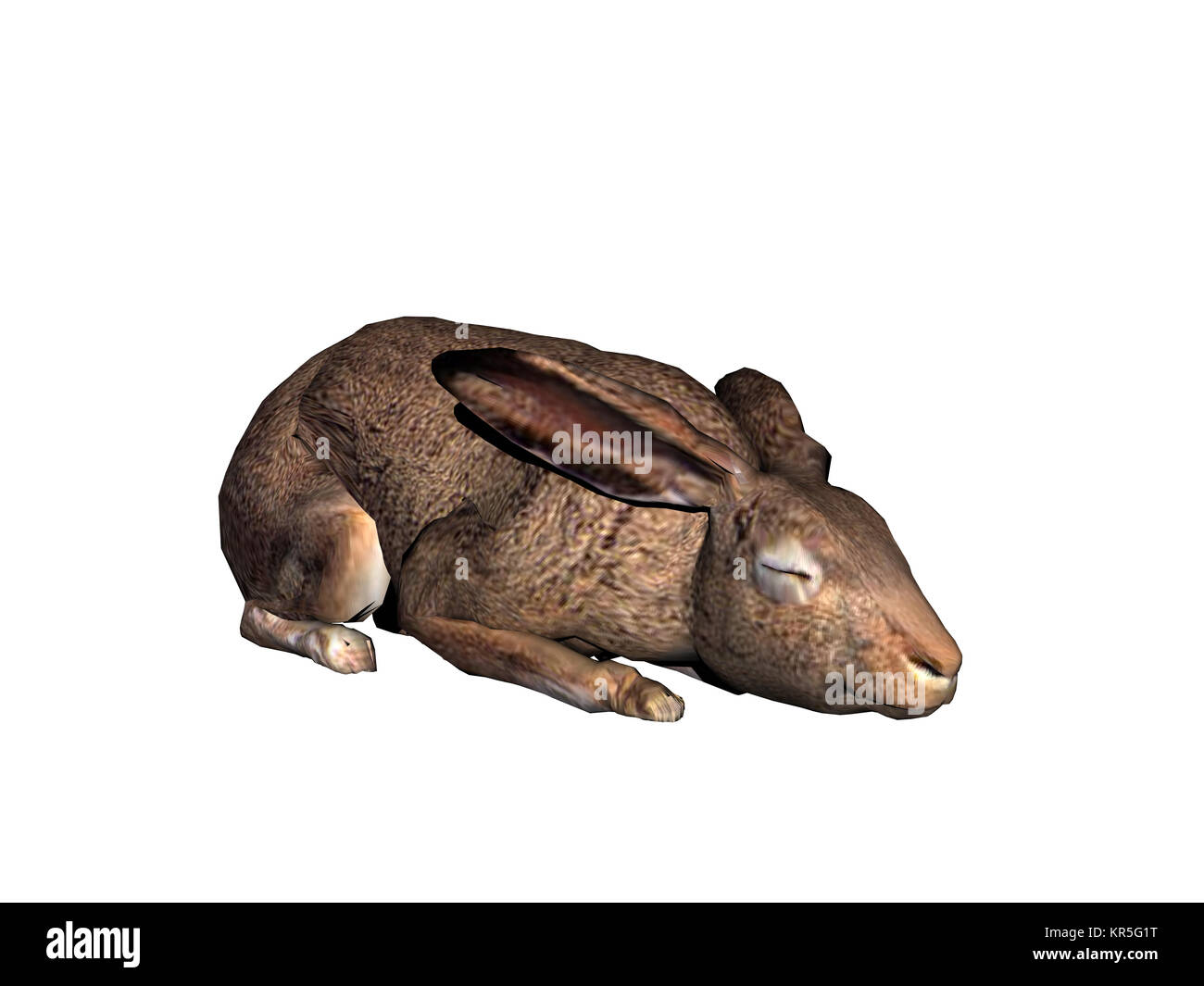 Long eared mule hi-res stock photography and images - Alamy