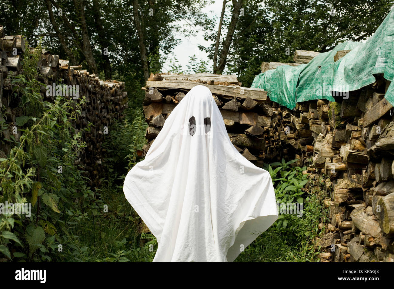 white ghost in front of wood stacked Stock Photo - Alamy