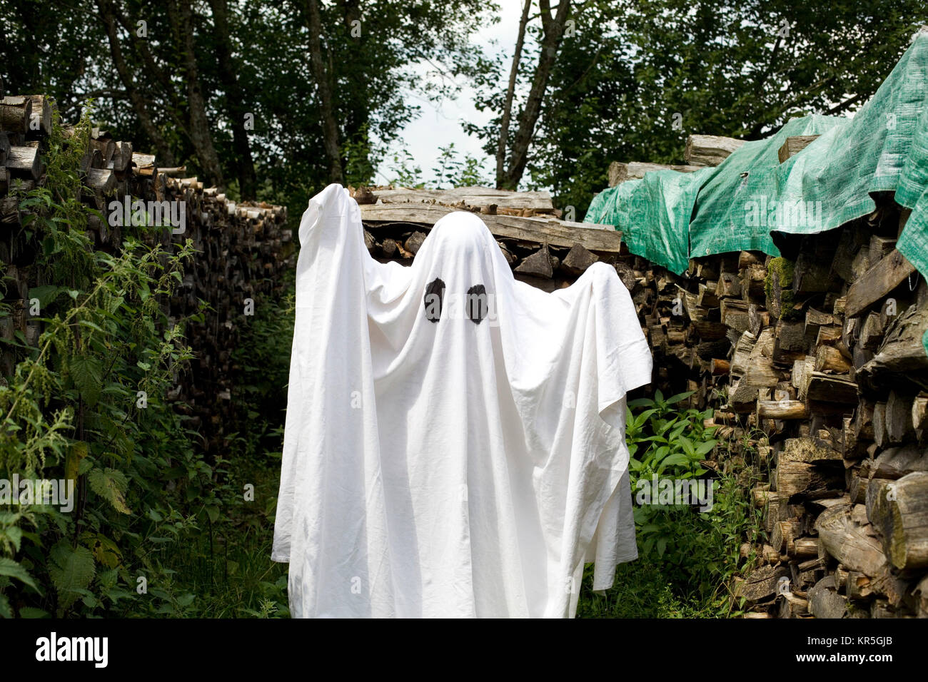 Portrait ghost in white sheet hi-res stock photography and images - Alamy