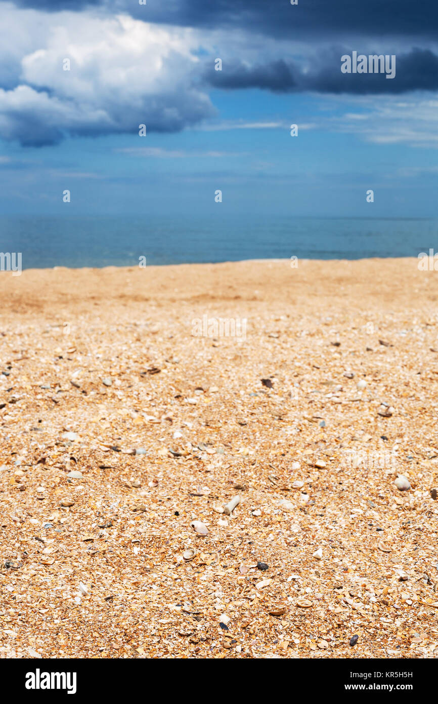 surface of shelly and sand beach close up Stock Photo - Alamy