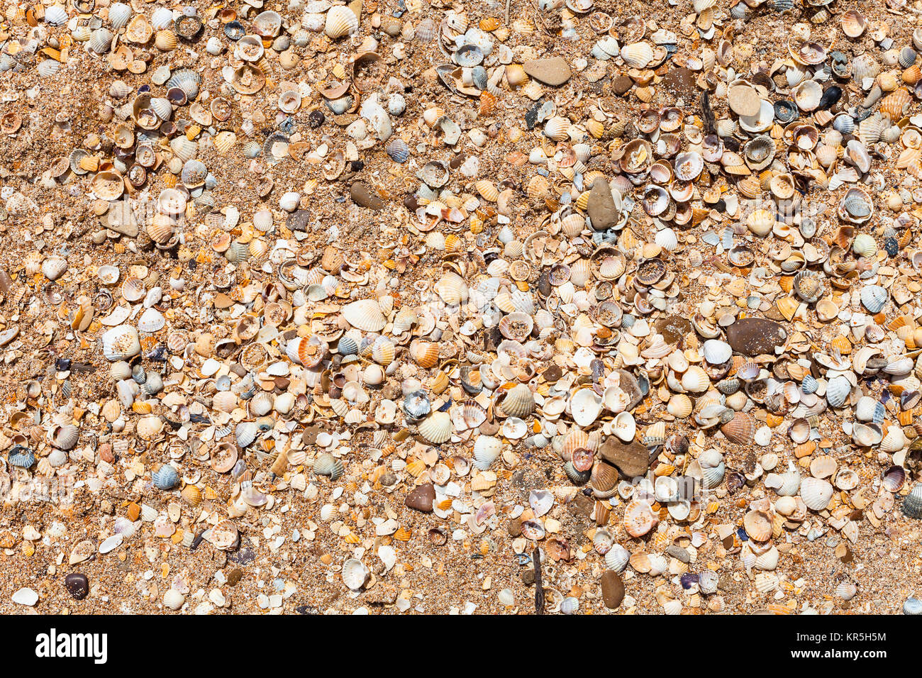 natural background - sand and shelly beach Stock Photo - Alamy