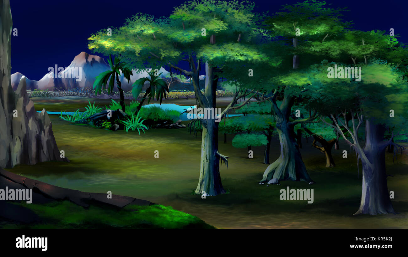 Acacia Trees in Africa. Night View Stock Photo - Alamy