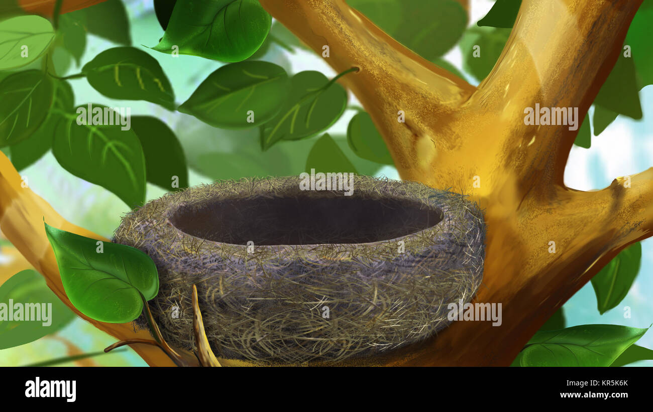 Birds Nest in a Tree Stock Photo - Alamy