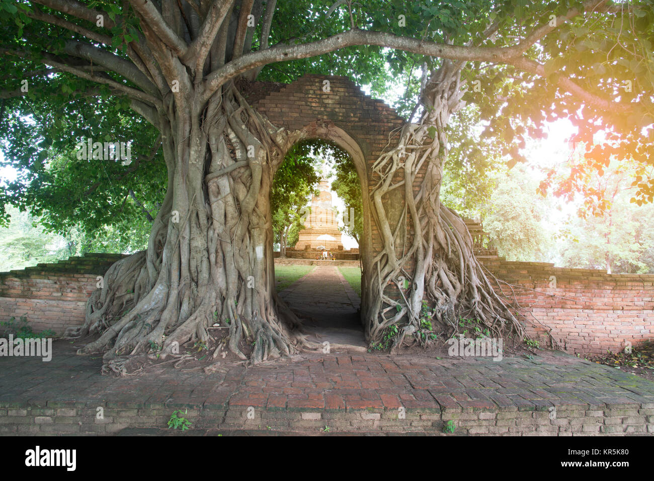 Gate of time of Wat Phra Ngam ancient temple in Ayutthaya Historical ...