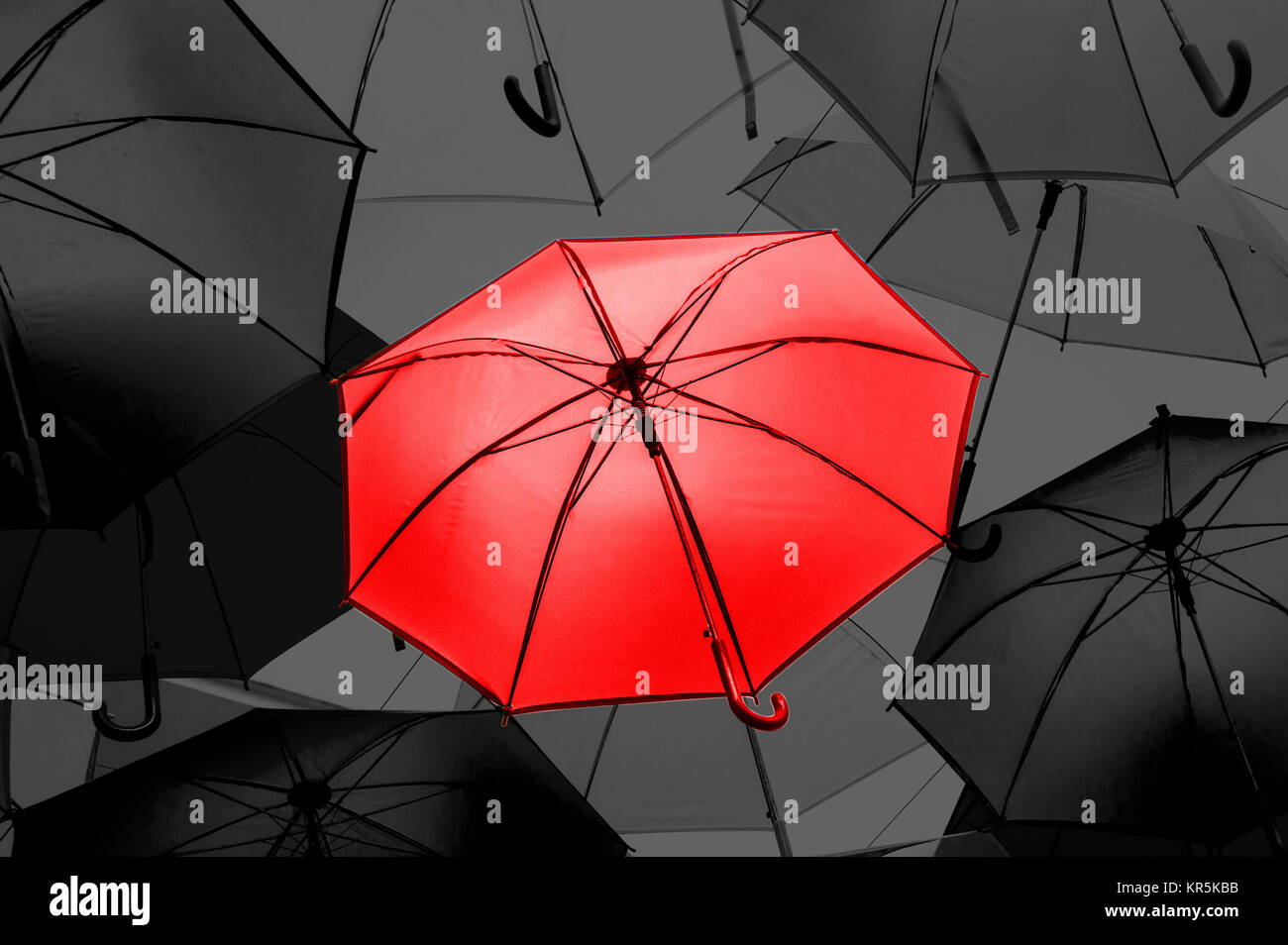 Red umbrella in black and white umbrellas Stock Photo - Alamy