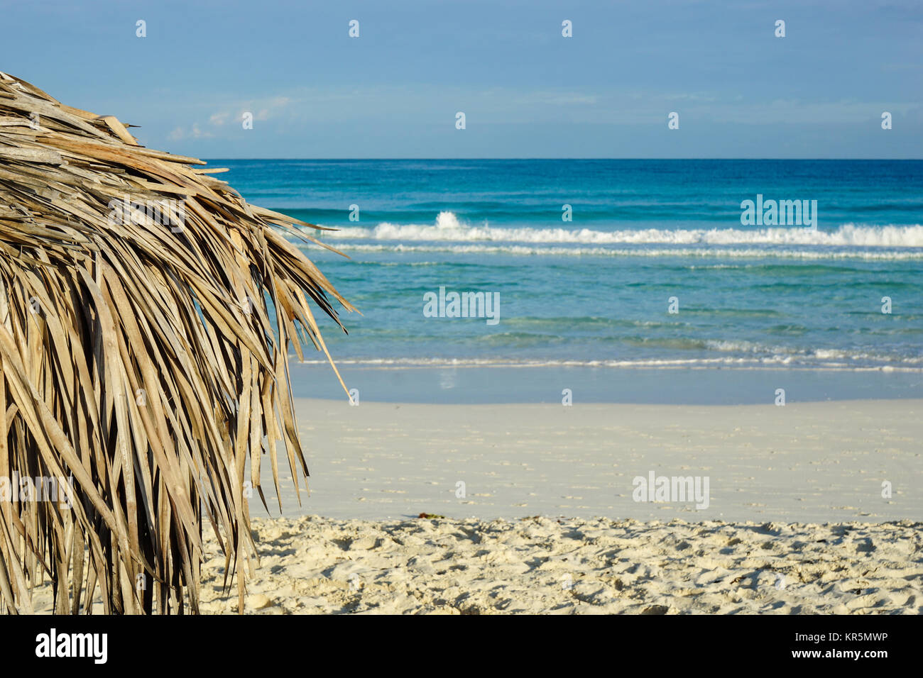 Tropical Beach in Cuba Stock Photo - Alamy