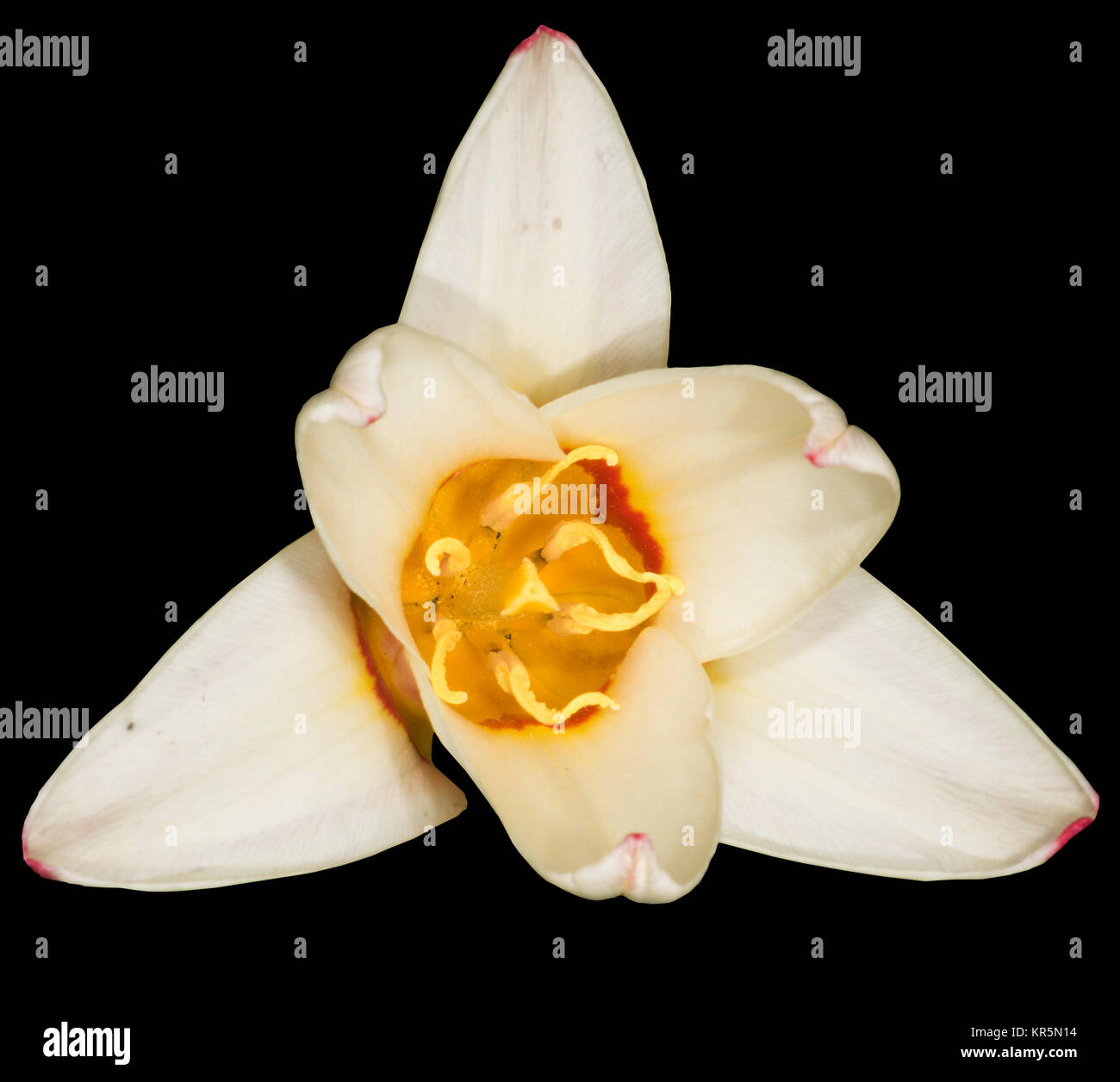 Pale triangle hi-res stock photography and images - Alamy