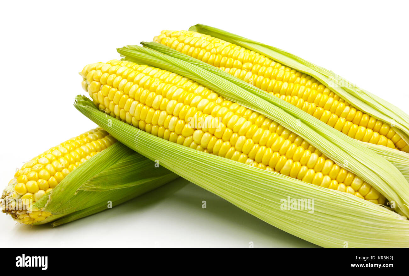 Corn on white background Stock Photo - Alamy