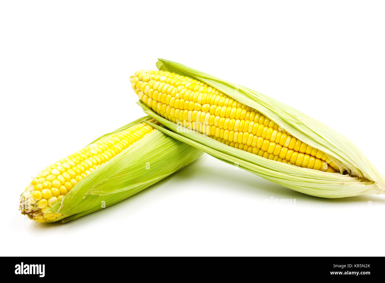 Corn on white background Stock Photo - Alamy