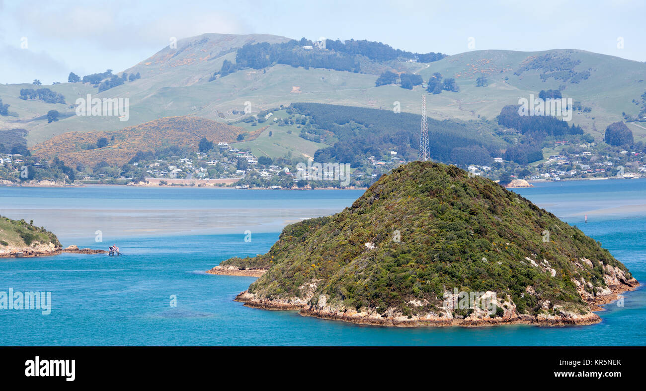 Dunedin City Suburbs Stock Photo - Alamy