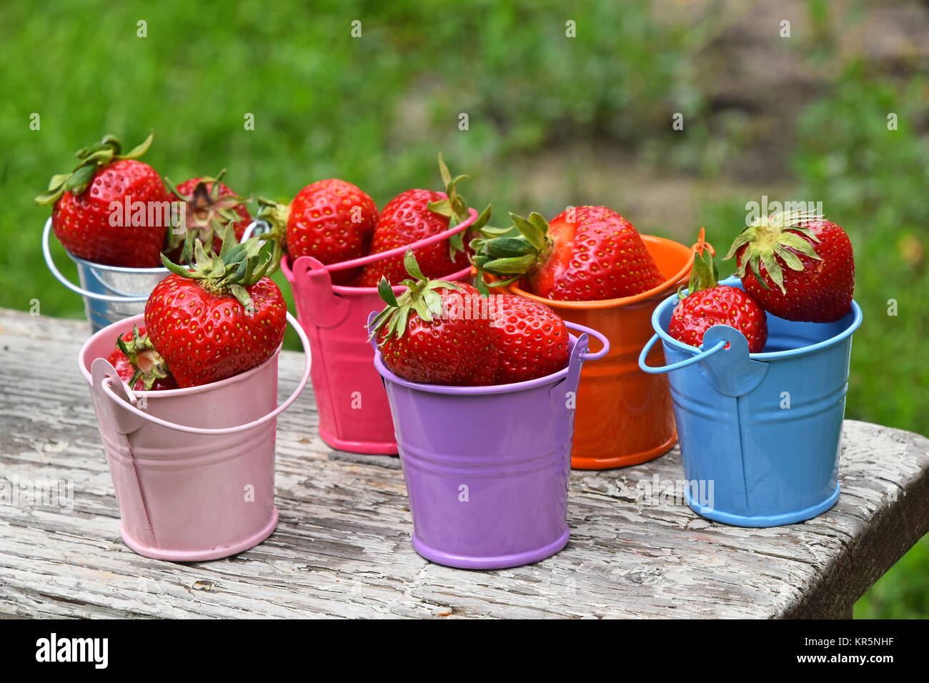 Small colorful toy buckets full of red strawberry Stock Photo - Alamy