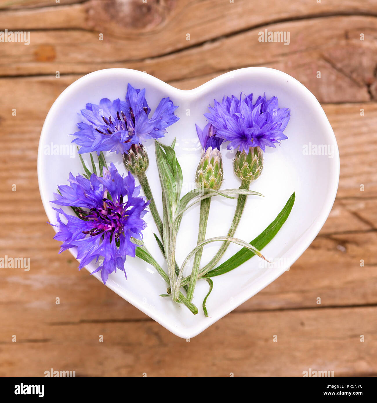homeopathy and cooking with herbs,cornflower Stock Photo - Alamy