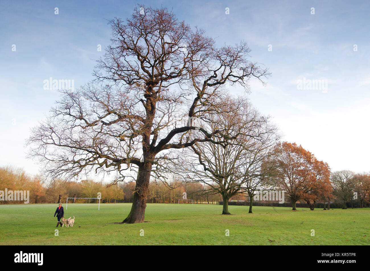 Wickford, Essex, UK. 18th December, 2017. UK Weather: Early morning ...