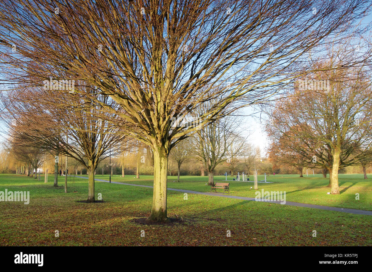 Wickford, Essex, UK. 18th December, 2017. UK Weather: Early morning ...