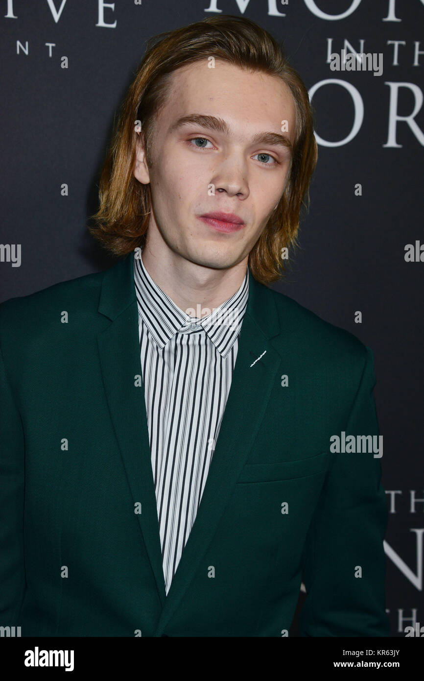 Los Angeles, USA. 18th Dec, 2017. Charlie Plummer 034 attends the ...