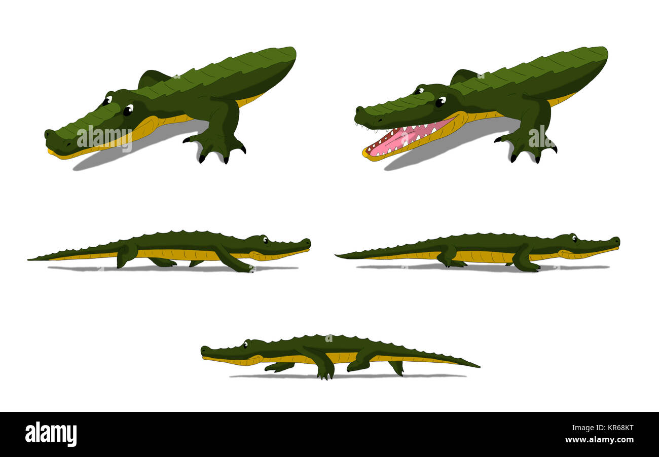 Funny cartoon crocodile face Cut Out Stock Images & Pictures - Alamy