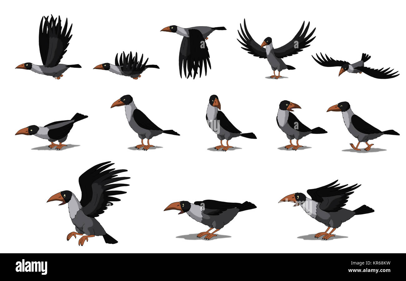 Raven side view photo hi-res stock photography and images - Alamy